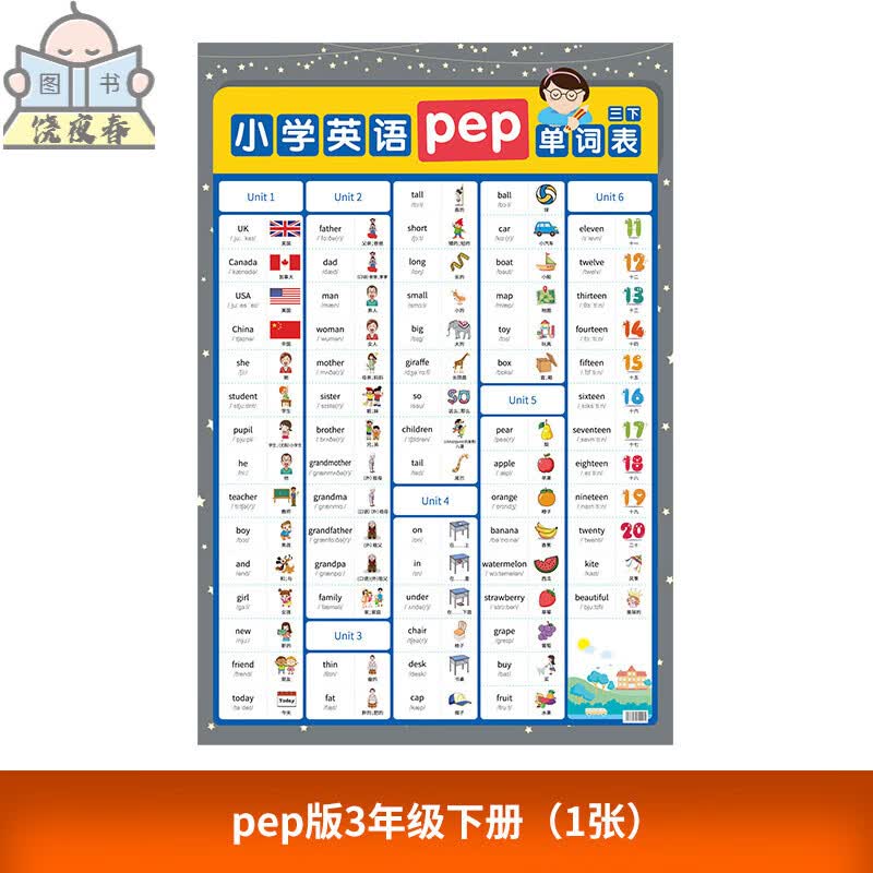 生单词人教PEP版三四五六年级上下册彩色挂图纸 三年级下册（1张）