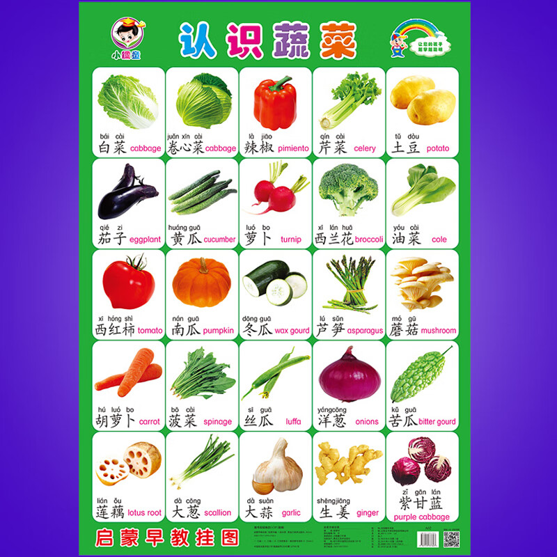 宝宝挂图婴幼儿童识图0-3画报启蒙早教拼音挂图墙贴看图识字贴画 认识蔬菜