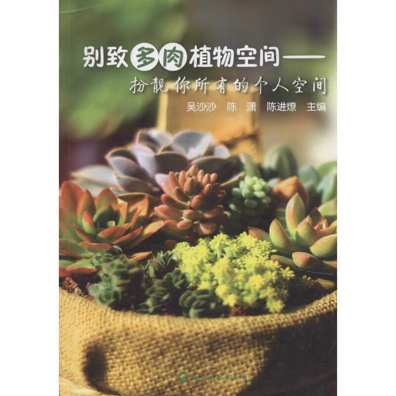 别致多肉植物空间【，放心购买】