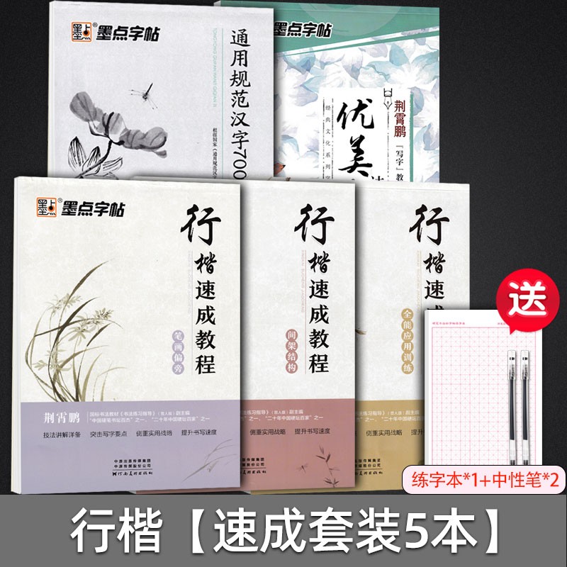 字帖行楷荆霄鹏钢笔练字成年笔画笔顺练习字体漂亮女生硬笔书法初中高中初学者入门套装7天速成大学生男霸气21天墨点临摹练字帖 行楷-【21天速成5本】送练字本+中性笔