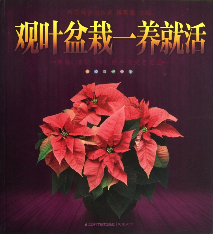 观叶盆栽一养就活