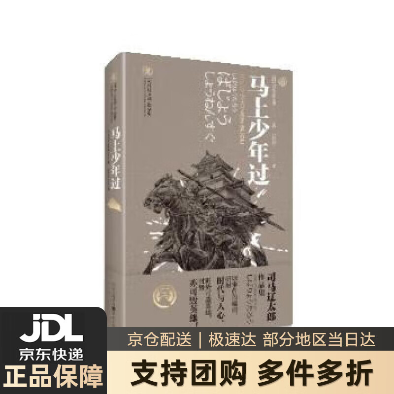 【 送货上门】马上少年过