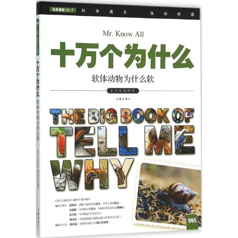 软体动物为什么软