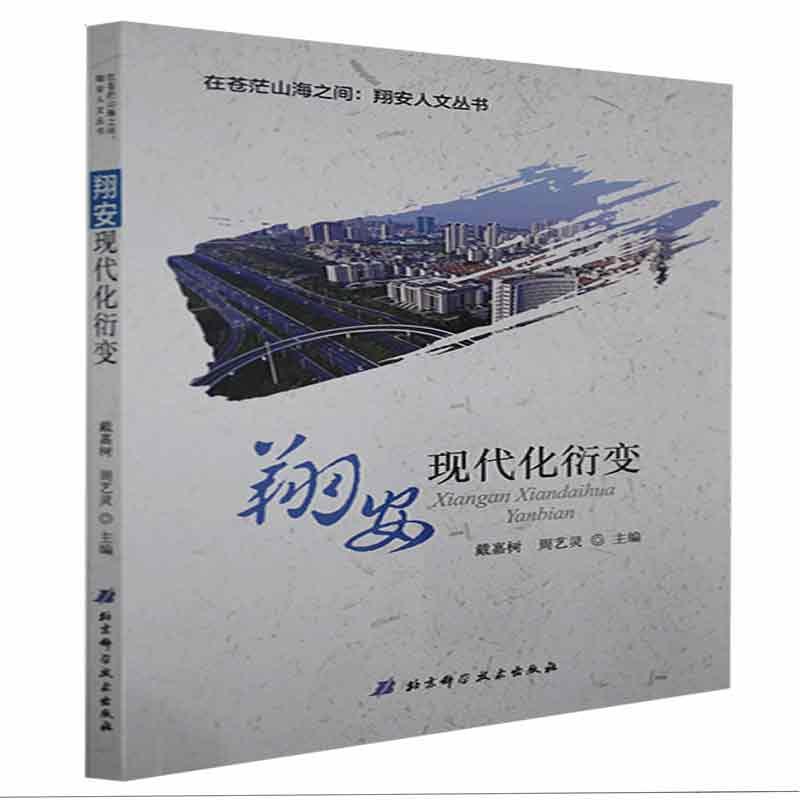 安现代化衍变历史 图书
