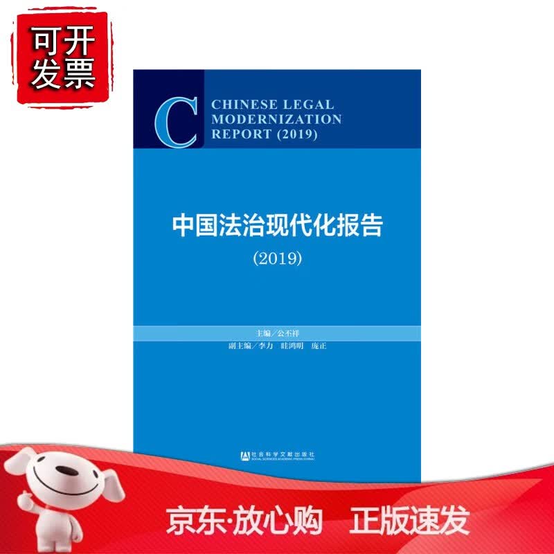 中国法治现代化报告（2019）