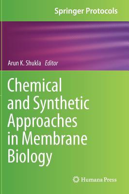 Chemical and Synthetic Approaches in Membrane Bi