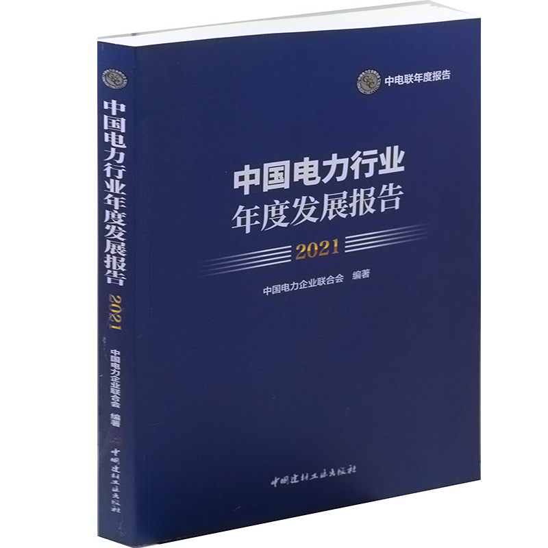 能源与电力系列 2021中国电力行业年度发展报告