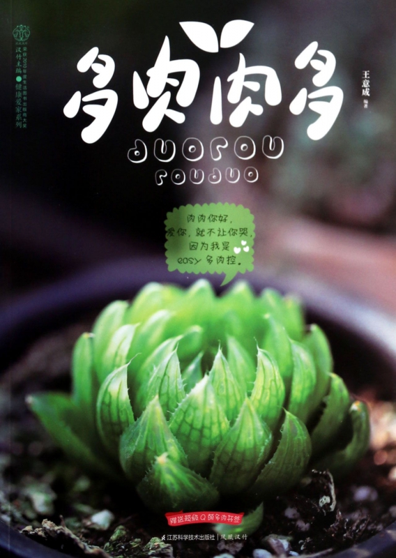 多肉肉多/健康爱家系列
