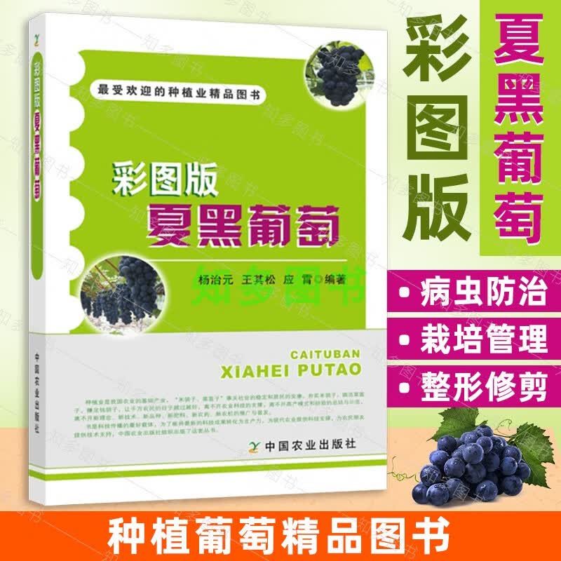 彩图版夏黑葡萄杨治元夏黑葡萄栽培问题解决和技术措施果农葡萄大棚栽培避雨栽培技术提升指导葡萄病虫害防治 病虫害防治
