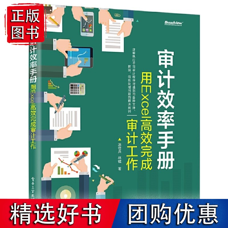 审计效率手册：用Excel完成审计工作