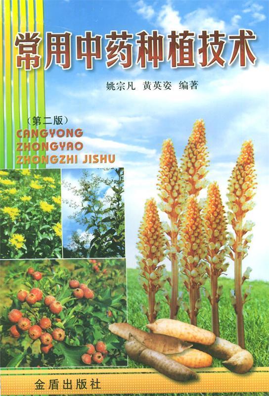 常用中药种植技术 姚宗凡 等编著