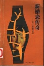 新婚恋传奇:下中国婚恋小说