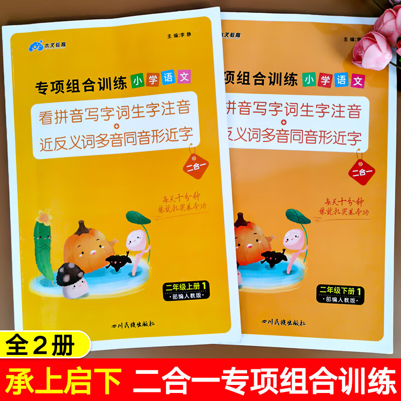 看拼音写词语二年级上册下册全套人教版小学语文生字组词基本功同步组合专项训练小学生课堂练习思维天天练注