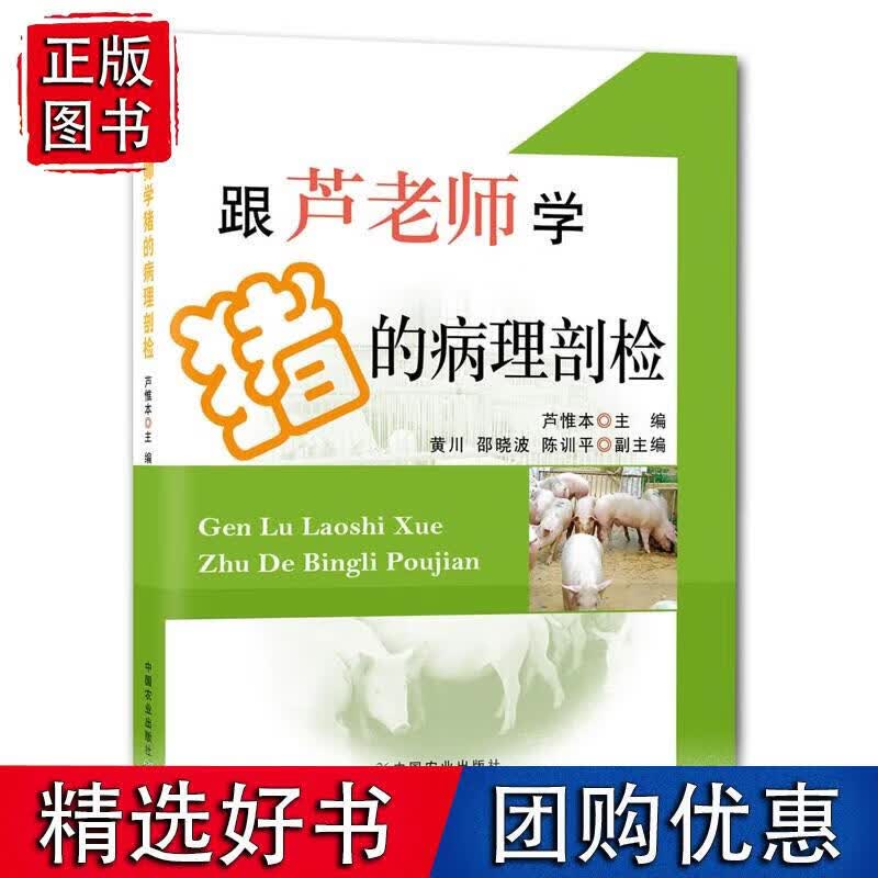 跟芦老师学猪的病理剖检
