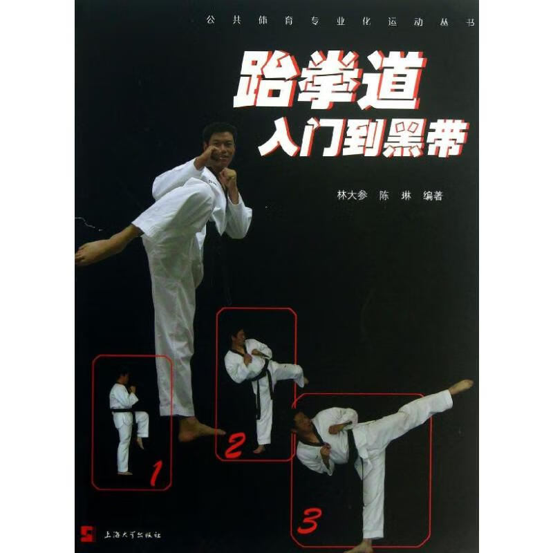 跆拳道入门到黑带 林大参,陈琳 著 上海大学出版社