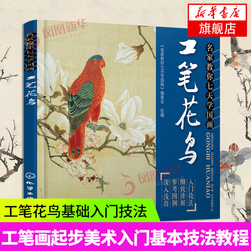 名家教你七天学国画 工笔花鸟 工笔花鸟 工笔画起步 美术入门基础教程 工笔画花鸟教程 工笔画基本技法