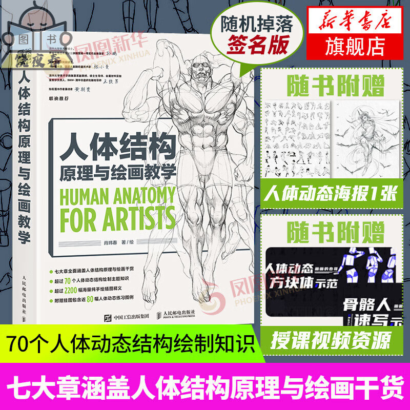 人体结构原理与肖玮春 人体结构手画的春哥画画入门 临摹画册