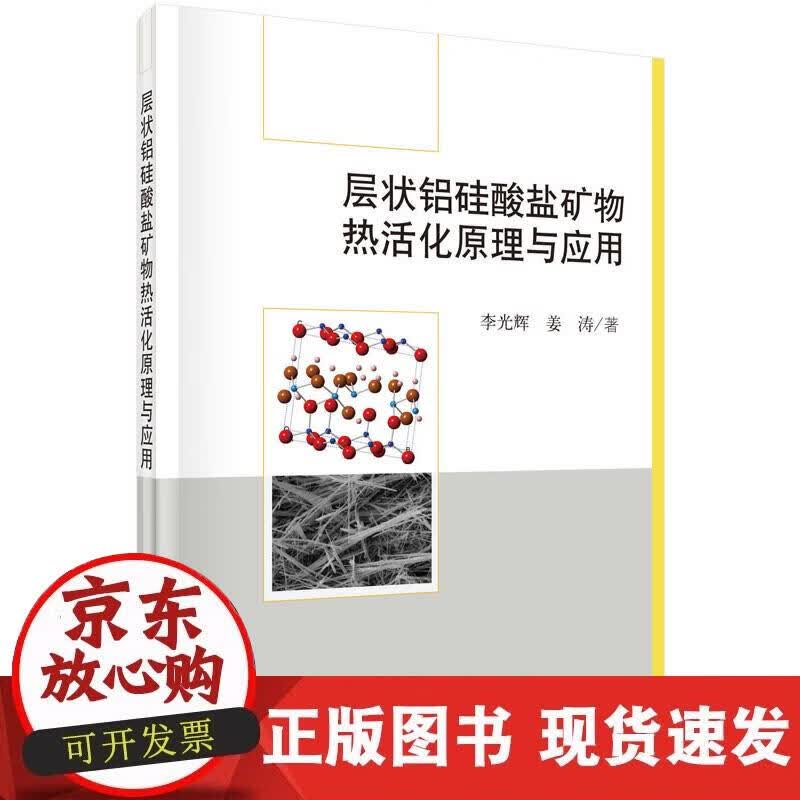 【现货】层状铝硅酸盐矿物热活化原理与应用