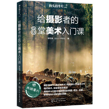 狗头拍牛片2 给摄影者的8堂美术入门课 张松涛 著【书】