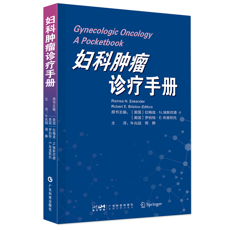 妇科诊疗医学 图书