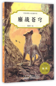 鏖战苍穹【好书】