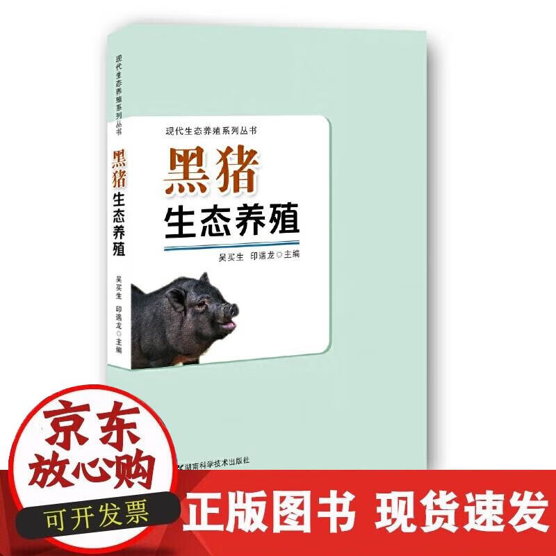 【现货】黑猪生态养殖