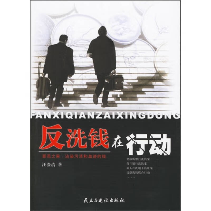 反洗钱在行动【好书】