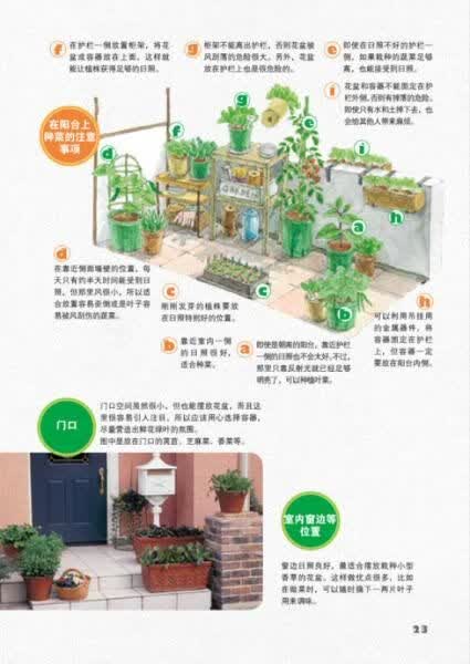 阳台种菜全家够吃9787539960692