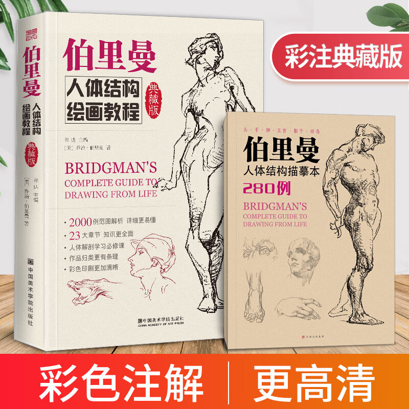 典藏版伯里曼人体结构绘画教程人物速写入门基础画册临摹书透视技法解剖动态自学教学美术艺术手绘全书大
