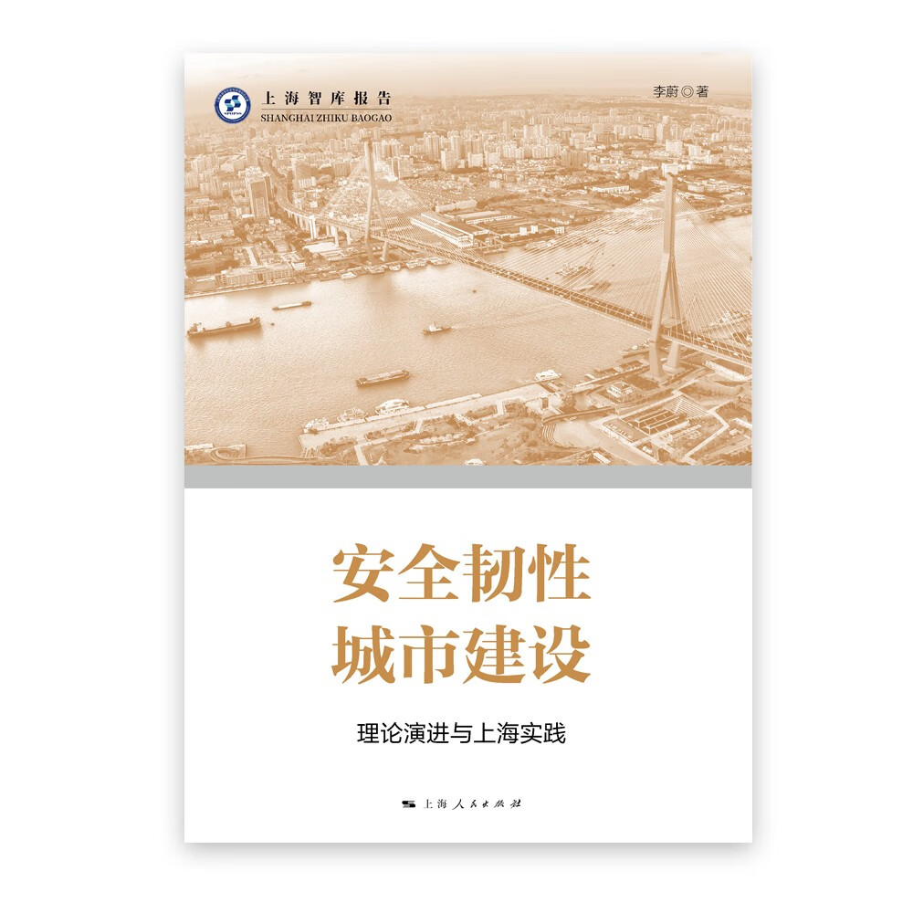 安全韧性城市建设