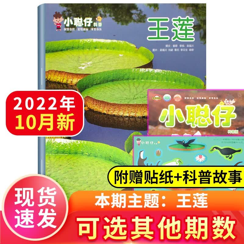 【6月新期到】小聪仔科普版杂志2023年【单本多期可选】幼儿益智兴趣智力开发低年级儿童科普百科自然探索奥秘非2022过期刊 2022年10月【王莲】