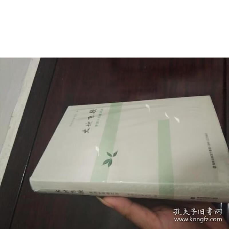 大地飞歌