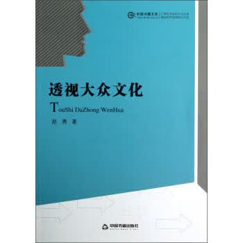透视大众文化 赵勇