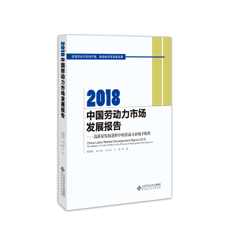 2018中国劳动力市场发展报告：高质量发展进程中的劳动力市场平衡性