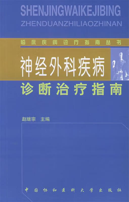 临床疾病诊疗指南丛书：神经外科疾病诊断治疗指南