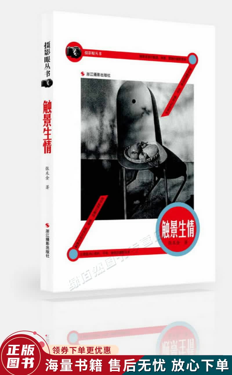摄影眼丛书：触景生情