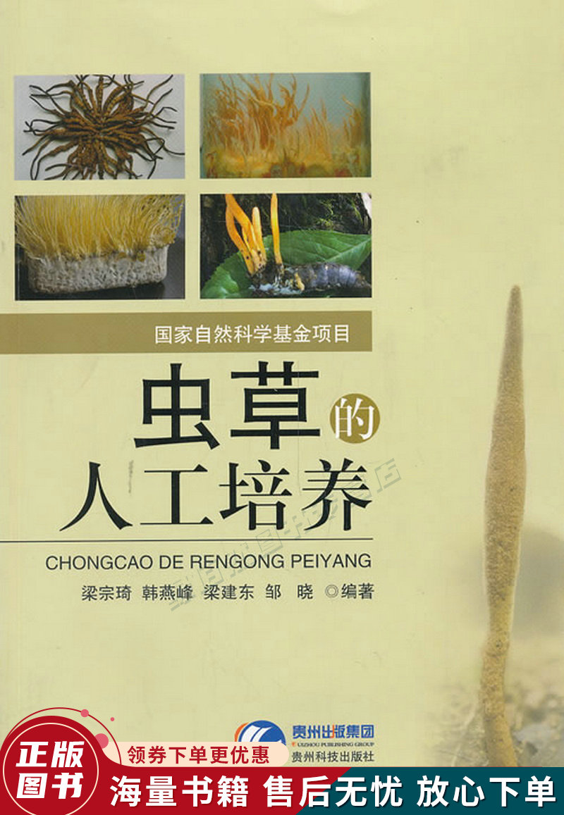 虫草的人工培养