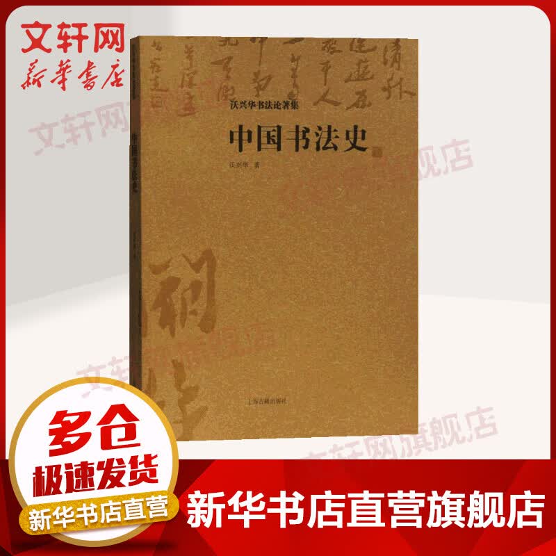 中国书法史  沃兴华书法论著集