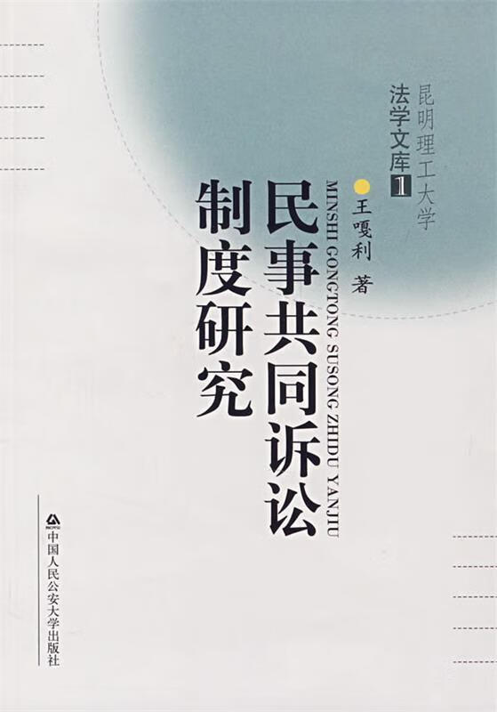 民事共同诉讼制度研究