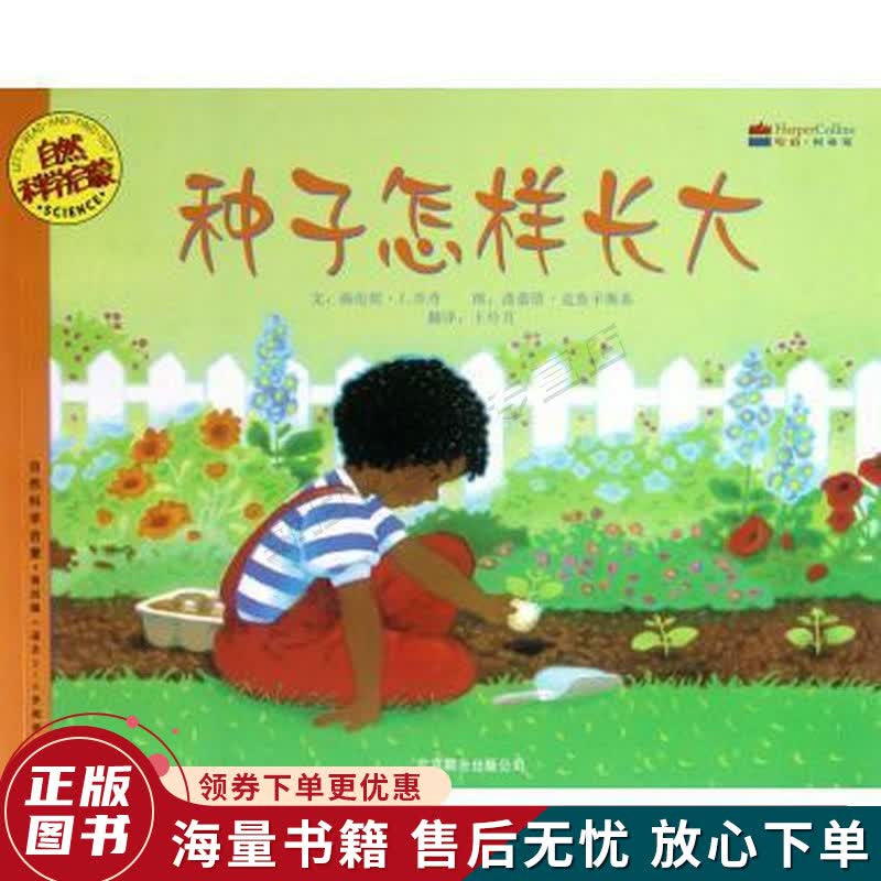 种子怎样长大