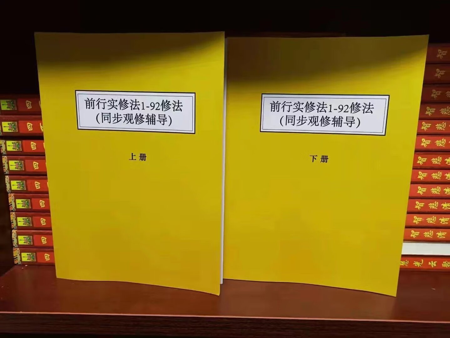 学院版 大版本 前行实修法辅导  索师 A4大小 两本