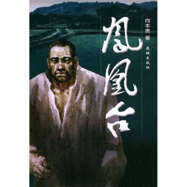 凤凰台9787536043817