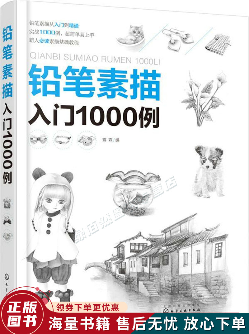 铅笔素描入门1000例