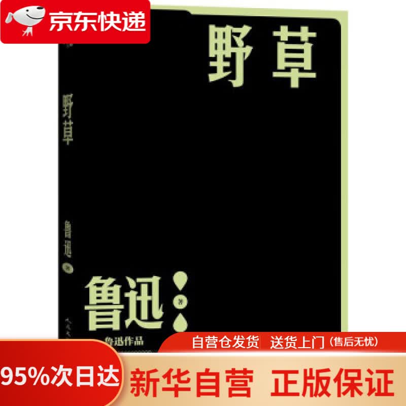 BEAMS AT HOME 4 理想之家 [日]BEAMS著,郑晓蕾 译 新星出版社