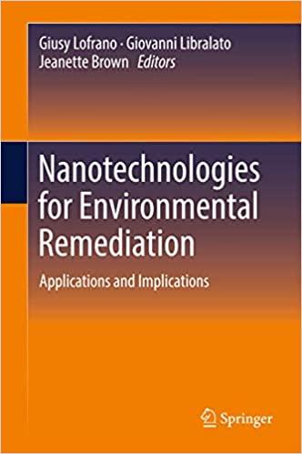 Nanotechnologies for Environmental Remediation: