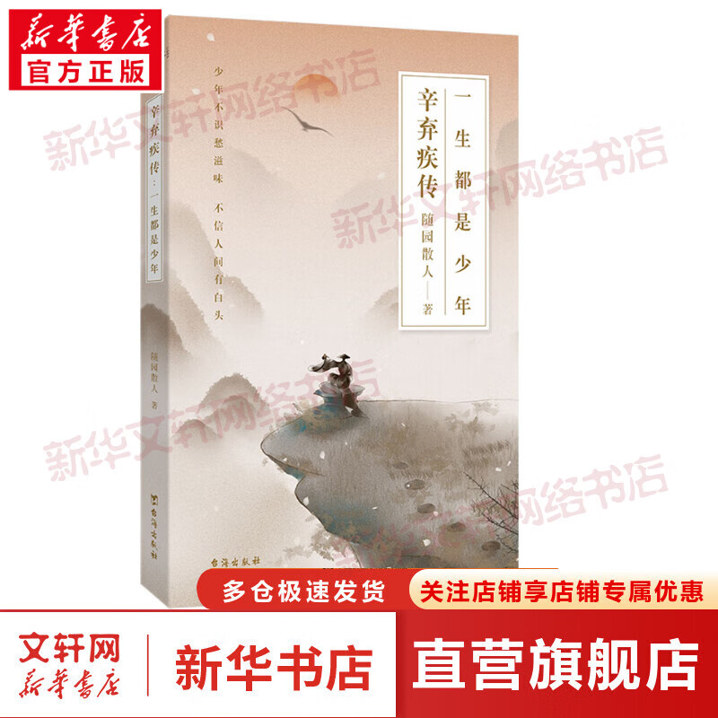 辛弃疾传 一生都是少年 图书