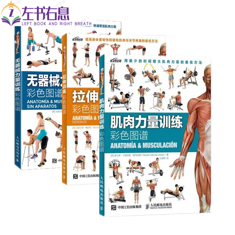 肌肉力量训练彩色图谱拉伸训练无器械力量训练运动健身书籍3册