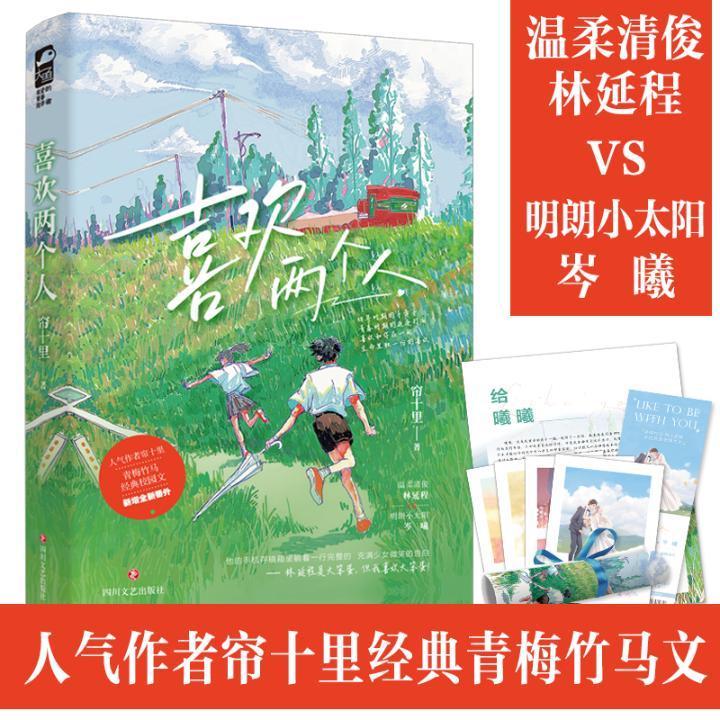 喜欢两个人帘十里青春文学9787541163128
