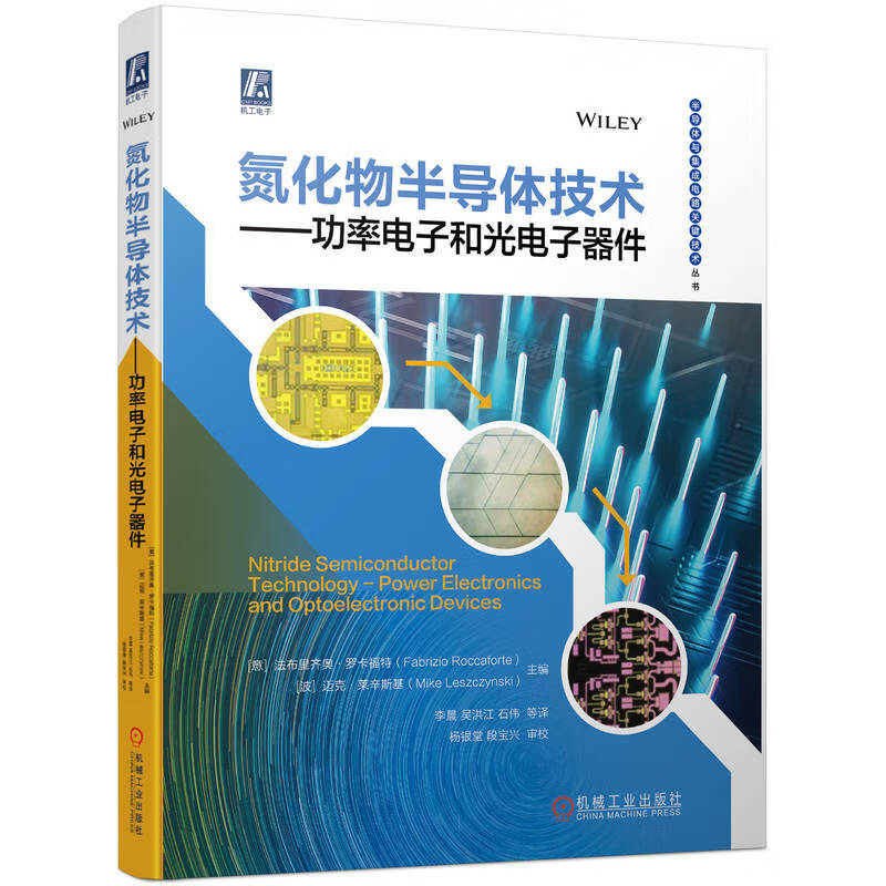 氮化物半导体技术 功率电子和光电子器件
