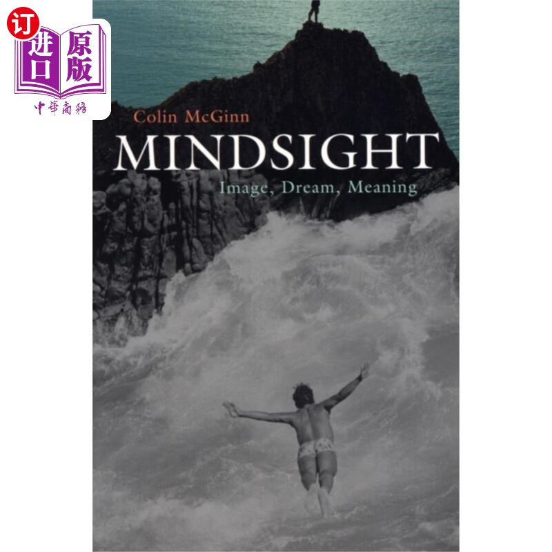 海外直订Mindsight 心灵的洞察力
